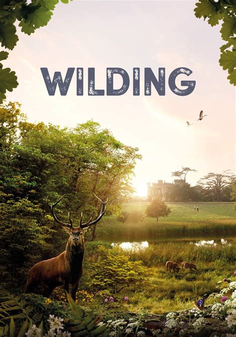 Wilding 映画 動画配信 オンライン 視聴
