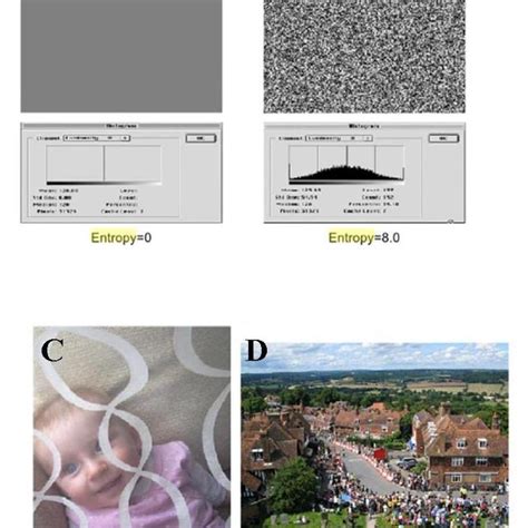 Entropy Level In Different Pictures Modified From Allen And