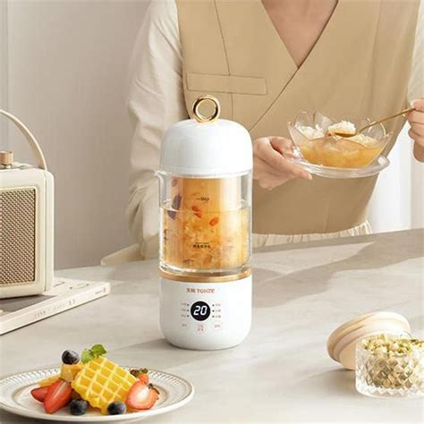 China Bird Nest Cooker Manufacturer And Supplier Tonze