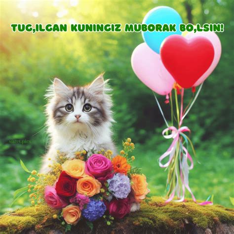 Tugilgan Kuningiz Muborak Bolsin Rasmlar
