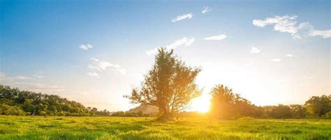 最高31℃！菏泽气温再次回升！昼夜温差近10℃，接下来天气