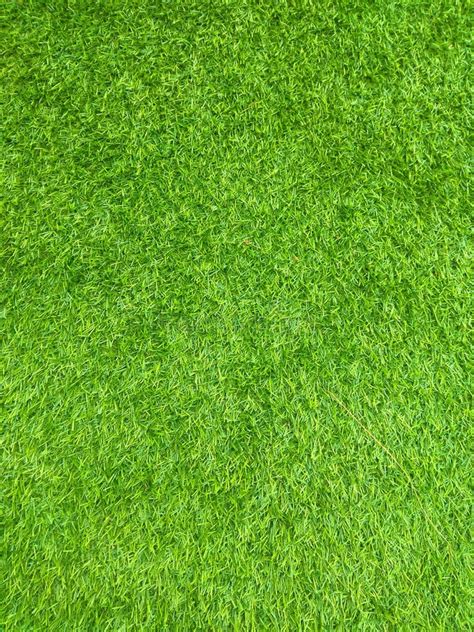 Grass With Concrete Floor