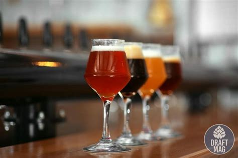 Ipa Vs Beer A Guide To The Differences Of IPA From Other Beers