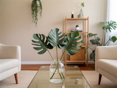 15 Ways To Use Monstera Plants To Make Your Living Room Tropical