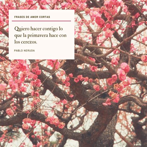 Frases De Amor Cortas Y Lindas Frases Románticas Cortas Canva