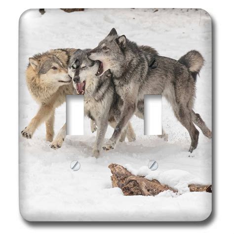 3drose Gray Wolf Pack Behavior In Winter Canis Lupus Montana Double