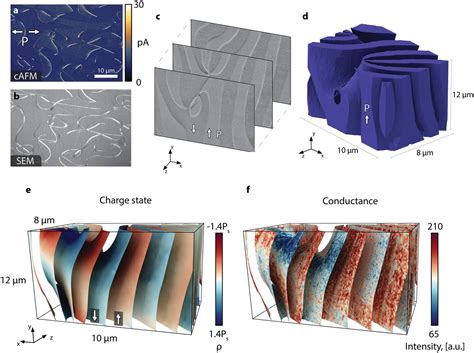 Icmab The Third Dimension Of Ferroelectric Domain Walls