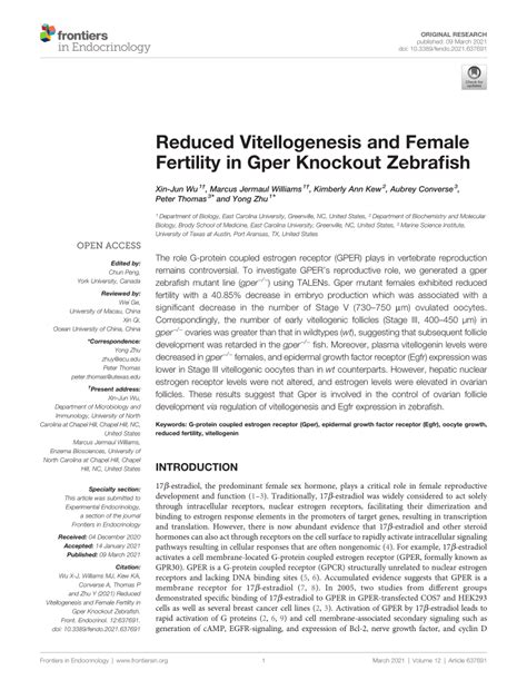 Pdf Reduced Vitellogenesis And Female Fertility In Gper Knockout