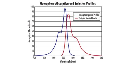 optics for antibody detection edmund optics