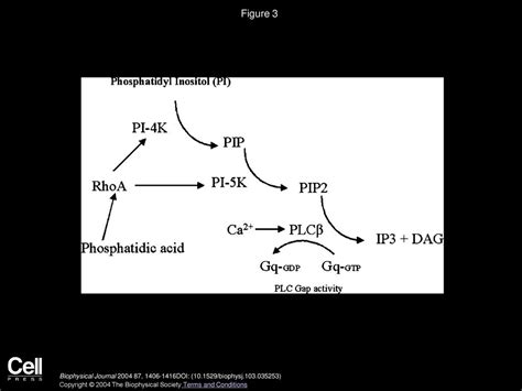 Volume Issue Pages September Ppt Download