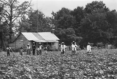 The History Of Rural Black Land Loss Time