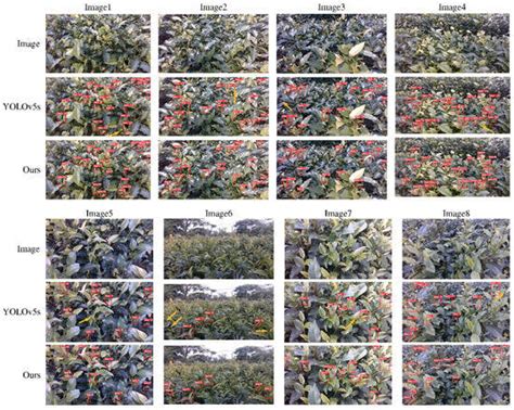 Agronomy Free Full Text Detection And Localization Of Tea Bud Based