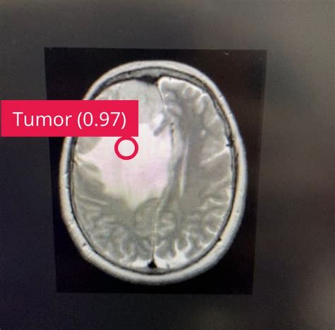 รับทำ Ai Object Detection เอไอตรวจจับวัตถุ Yolo Pytorch