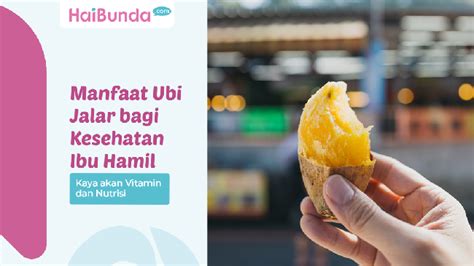 Manfaat Ubi Jalar Bagi Kesehatan Ibu Hamil Kaya Akan Vitamin Dan Nutrisi