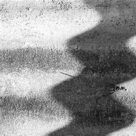 Beeches W Hoodie Mellow Balamii