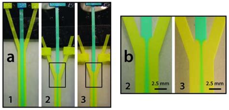 Microfluidics Without Pumps Reinventing The T Sensor And H Filter In Paper Networks Pmc