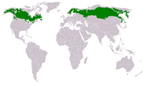 География Тест Природни зони
