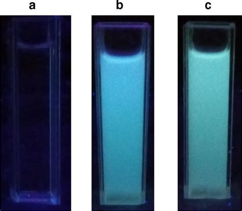Photographs Of A Tris Hcl Buffer B Fish Sample Solution And C Shrimp