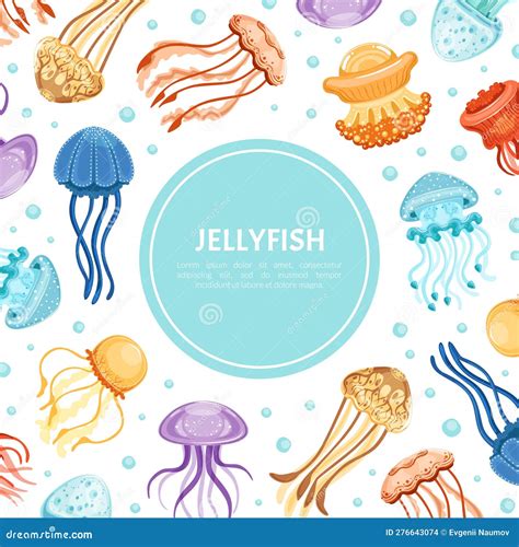 Square Card With Vibrant Jellyfish Having Umbrella Shaped Bells And Trailing Tentacles Vector
