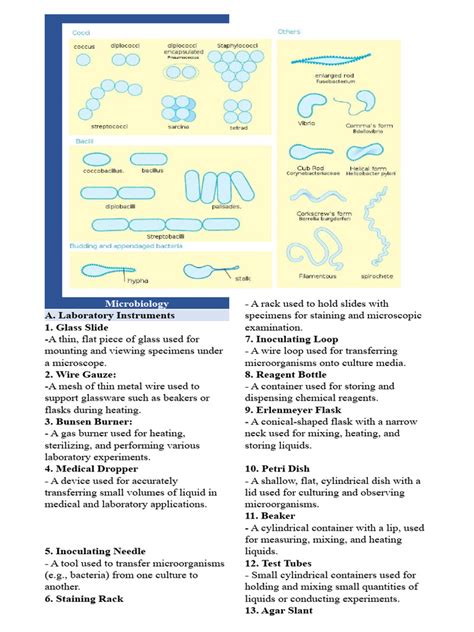 Microbiology Lab 1 Laboratory Instruments Pdf Laboratories