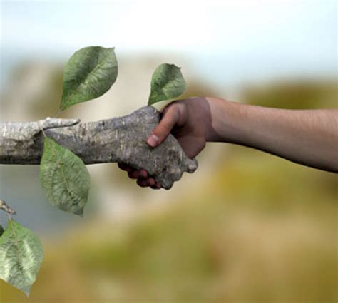 Conservacion Ambiental My Xxx Hot Girl