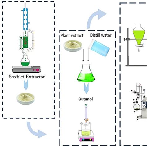 Illustration Of Experimental Steps Of Saponin Purification Of The Plant
