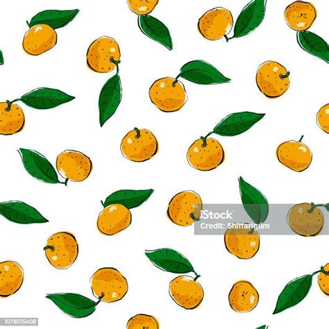 Mandarines 귤 클레 멘 타인 흰색 배경에 고립 된 잎 벡터 완벽 한 패턴입니다 손으로 그려 신선한 열 대 감귤 류 과일