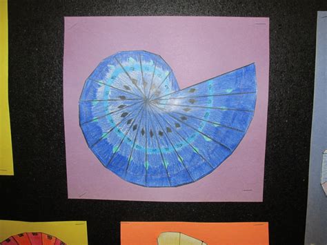 Pythagorean Snails Mr Brooks Class Ngdhs