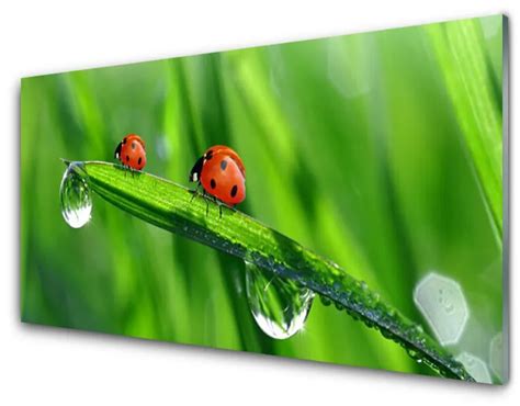 Tablou pe sticla Ladybird Beetle Floral Verde Roșu Negru BIANO