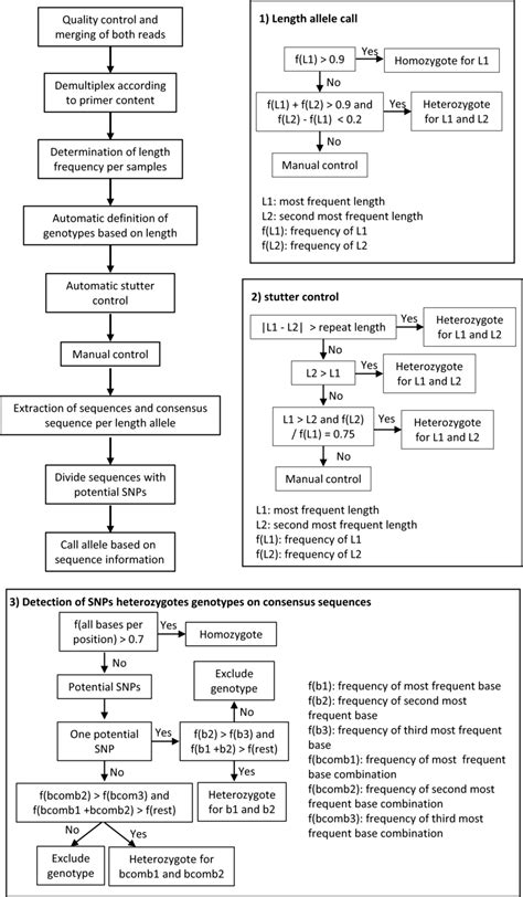 Of Sequence Analysis And Genotyping Approach The Top Left Panel Shows Download Scientific