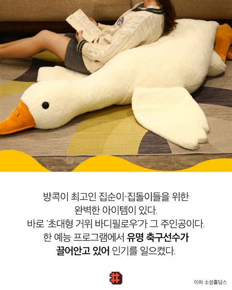 너의 인생템 요즘 Sns에서 제일 핫한 인형ㅋㅋ🦢 거위인형 오리인형 바디필로우