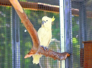 しのだの森動物園しのだの森ホスピタル 千葉県八千代市