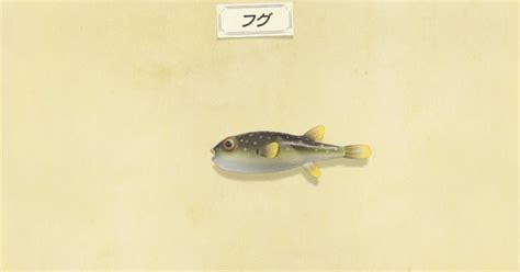 【あつ森 2025年版】フグの値段と出現時間・釣り方【あつまれどうぶつの森】 アルテマ