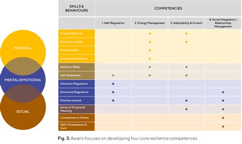 Resilience Framework Awaris
