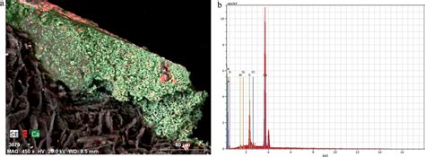 A Elemental Analysis Map By Sem Eds Detecting S And Ca In Glue Sizing Download Scientific