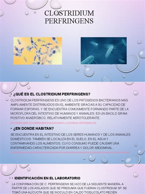 Clostridium Perfringens Pdf Enfermedades Transmitidas Por Alimentos