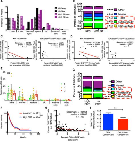 Epithelial Pdac Cells Associate With More T Cells A Immune Cell Download Scientific Diagram
