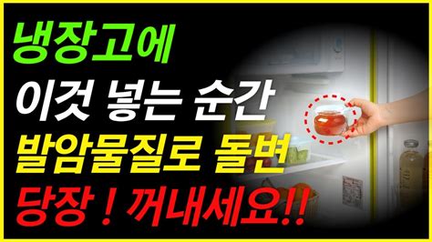 지금 냉장고에 이 식품 있다면 당장 꺼내세요 발암물질 먹는 겁니다 Youtube