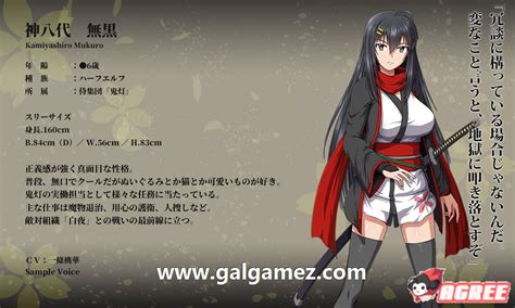 巨作rpg全动态 Oneone1 掠夺者武士 V200特大更新全cg档攻略 新作全cv Fm百度od 8g 游戏