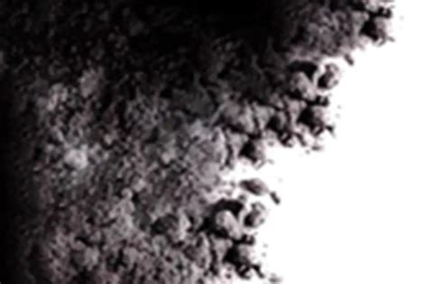 Sustainable Commodities And Supply Chain Solutionsgalleries