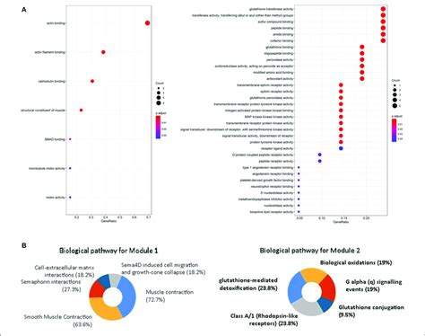 Go Analysis And Biological Pathway Enrichment Analyses Of The Module