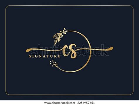 Luxury Gold Signature Initial Cs Logo Stock Vector Royalty Free