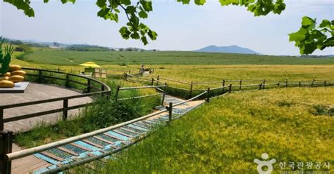 보리나라 학원농장 고창여행 가볼만한곳 주변관광지 주변맛집 국내여행 보리나라 학원농장 고창여행 가볼만한곳 주변관광지 주변맛집 국내여행