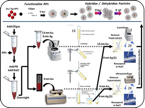 Diagram Of Functionalization Procedure Download Scientific Diagram