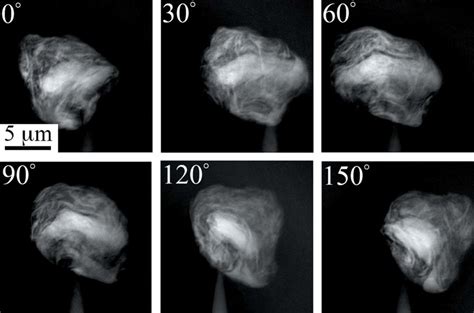 Projection Images Obtained From The Nanotomography Technique Download Scientific Diagram