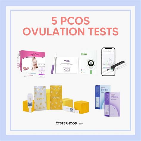 Ovulation Tests Are Super Useful When Trying To Get Pregnant