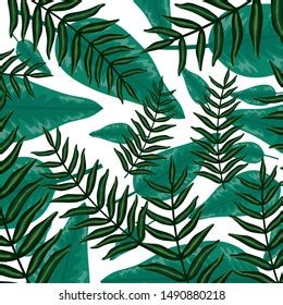 Tropical Palm Leaves Green Jungle Leaf Stock Vector (Royalty Free ...