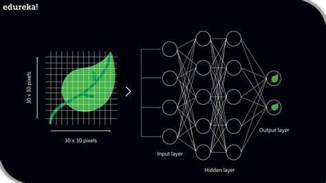 What Is A Neural Network Edureka Pdf Artificial Intelligence