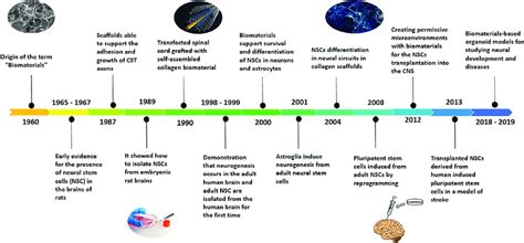 A Brief Timeline Of Key Milestone In Neural Stem Cells And Biomaterials