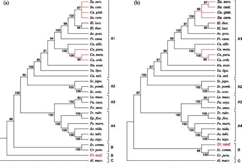 table 1 from assessing the effect of varying sequence length on dna